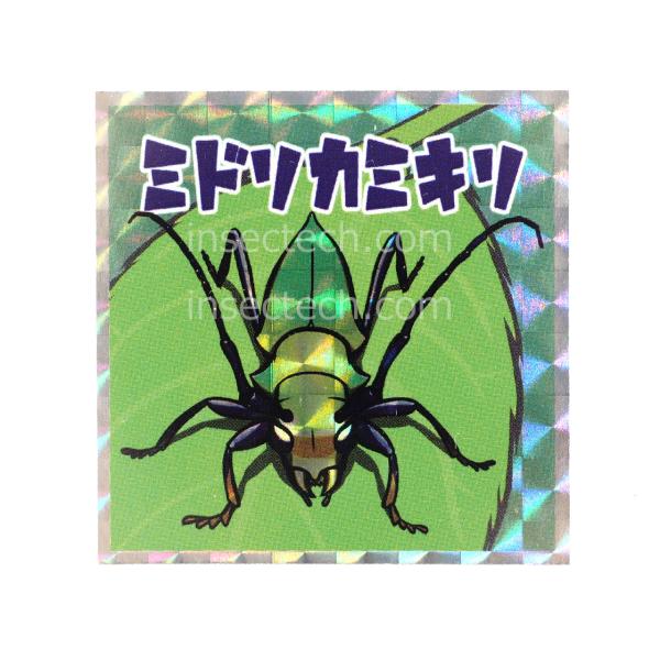 【クリックポスト発送対象商品】【駄画紙屋むしーる】ミドリカミキリChloridolum viride背景やイラスト一部がキラキラするフォログラム印刷※裏面に「解説とイラスト」有りお手元に届いてからのお楽しみ♪大きさ 縦×横：約48×48mm...