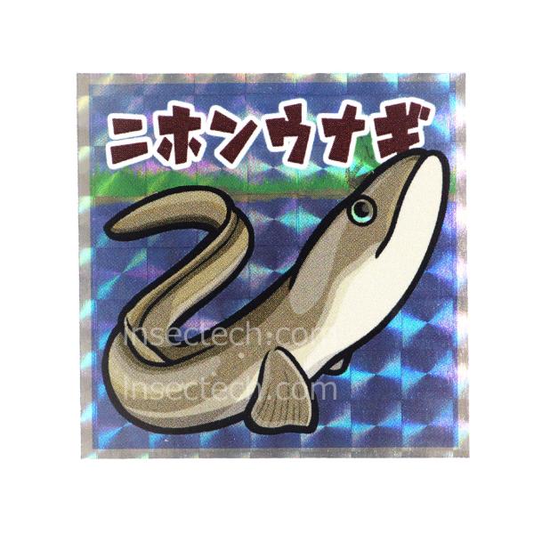 【クリックポスト発送対象商品】【駄画紙屋むしーる】ニホンウナギAnguilla japonica背景やイラスト一部がキラキラするフォログラム印刷※裏面に「解説とイラスト」有りお手元に届いてからのお楽しみ♪大きさ 縦×横：約48×48mm広く...