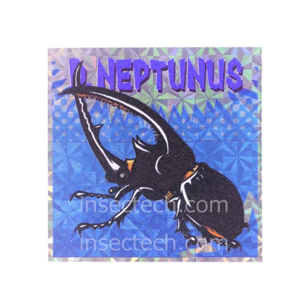 【クリックポスト発送対象商品】【駄画紙屋むしーる】ネプチューンオオカブトDynastes neptunus背景やイラスト一部がキラキラするフォログラム印刷※裏面に「解説とイラスト」有りお手元に届いてからのお楽しみ♪大きさ 縦×横：約48×4...