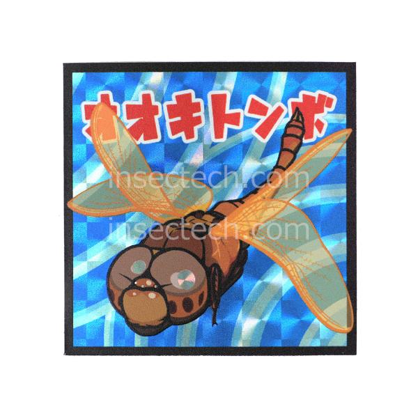 【クリックポスト発送対象商品】【駄画紙屋むしーる】オオキトンボSympetrum uniforme背景やイラスト一部がキラキラするフォログラム印刷※裏面に「解説とイラスト」有りお手元に届いてからのお楽しみ♪大きさ 縦×横：約48×48mm広...