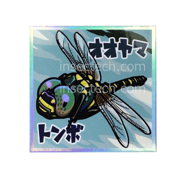 【クリックポスト発送対象商品】【駄画紙屋むしーる】オオヤマトンボEpophthalmia elegans elegans背景やイラスト一部がキラキラするフォログラム印刷※裏面に「解説とイラスト」有りお手元に届いてからのお楽しみ♪大きさ 縦×...