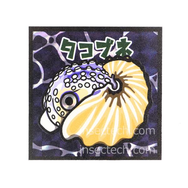 【クリックポスト発送対象商品】【駄画紙屋むしーる】タコブネArgonauta hians背景やイラスト一部がキラキラするフォログラム印刷※裏面に「解説とイラスト」有りお手元に届いてからのお楽しみ♪大きさ 縦×横：約48×48mm広く販売され...