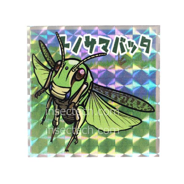 【クリックポスト発送対象商品】【駄画紙屋むしーる】トノサマバッタLocusta migratoria背景やイラスト一部がキラキラするフォログラム印刷※裏面に「解説とイラスト」有りお手元に届いてからのお楽しみ♪大きさ 縦×横：約48×48mm...