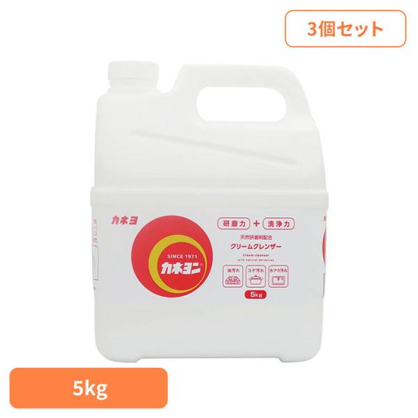 [検索用：カネヨ石鹸 カネヨン シンク掃除 台所用洗剤 4901329210902]■優良配送・届け日指定対象商品につきまして■下記の場合は対象外となります。・13時以降(休業日は12時以降)のご注文の場合・お届け先が対象地域外の場合(離島...