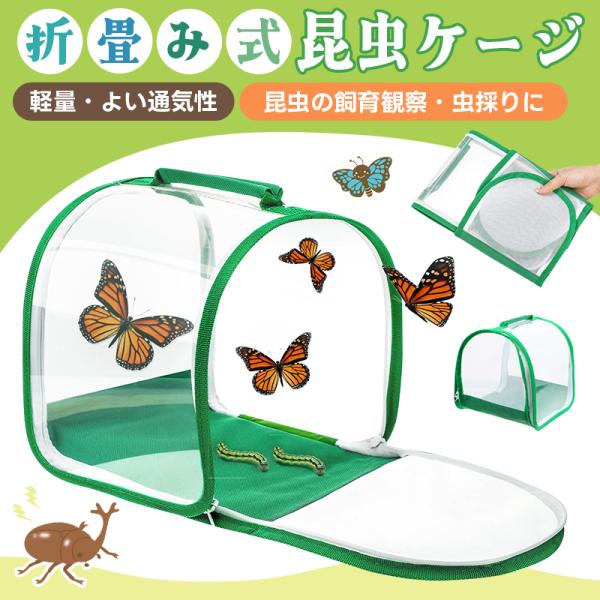 【商品詳細】■商品名：折畳み式昆虫ケージ■カラー：グリーン■サイズ：  ・組み立て時 約 20cm x 20cm x 20cm ・折りたたみ時 約 28cmx 21cm x 1.5cm■本体材質：ポリエステル・PVC■重量：160ｇ■商品内...