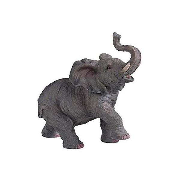 当サイトをご覧頂き誠にありがとうございます。弊社商品は全て正規店からの新品・並行輸入品です。税関手続・関税払いは全て弊社で対応の上、全国送料無料でお届けします。弊社海外倉庫より国内に発送しますので、お届けまで2-15営業日程度お時間を頂いて...