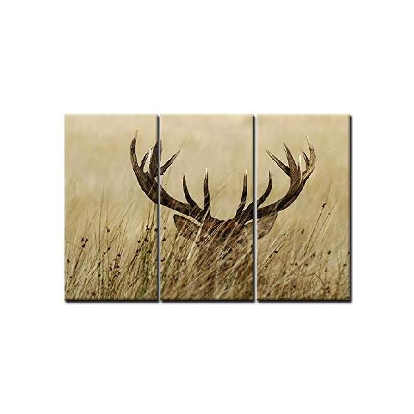 当サイトをご覧頂き誠にありがとうございます。弊社商品は全て正規店からの新品・並行輸入品です。税関手続・関税払いは全て弊社で対応の上、全国送料無料でお届けします。弊社海外倉庫より国内に発送しますので、お届けまで2-15営業日程度お時間を頂いて...