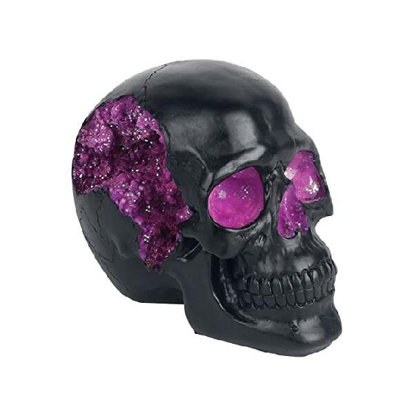 当サイトをご覧頂き誠にありがとうございます。弊社商品は全て正規店からの新品・並行輸入品です。税関手続・関税払いは全て弊社で対応の上、全国送料無料でお届けします。弊社海外倉庫より国内に発送しますので、お届けまで2-15営業日程度お時間を頂いて...