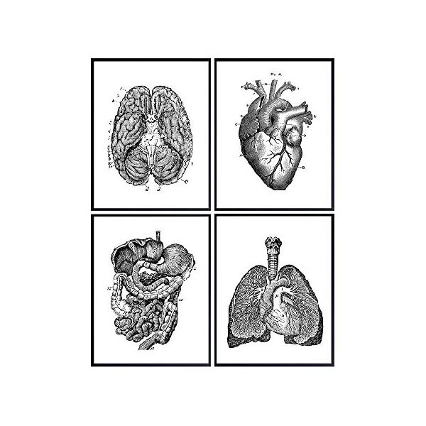 当サイトをご覧頂き誠にありがとうございます。弊社商品は全て正規店からの新品・並行輸入品です。税関手続・関税払いは全て弊社で対応の上、全国送料無料でお届けします。弊社海外倉庫より国内に発送しますので、お届けまで2-15営業日程度お時間を頂いて...
