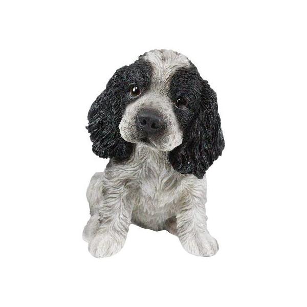 当サイトをご覧頂き誠にありがとうございます。弊社商品は全て正規店からの新品・並行輸入品です。税関手続・関税払いは全て弊社で対応の上、全国送料無料でお届けします。弊社海外倉庫より国内に発送しますので、お届けまで2-15営業日程度お時間を頂いて...