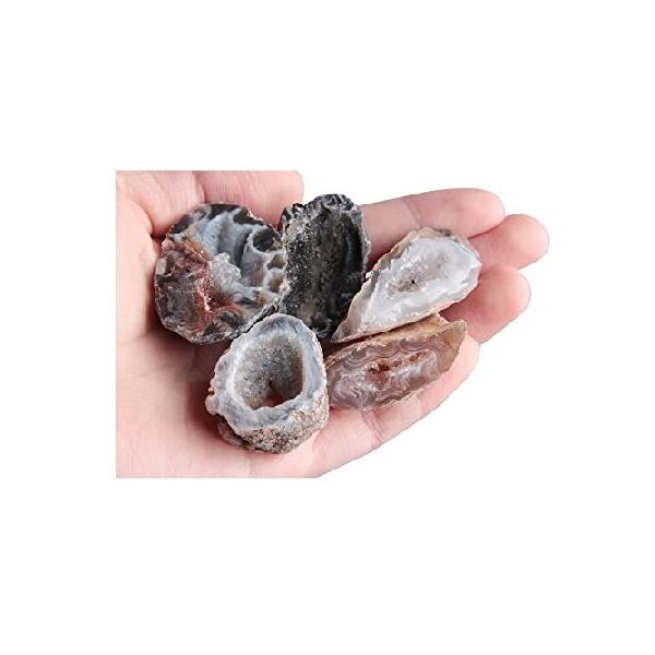 当サイトをご覧頂き誠にありがとうございます。弊社商品は全て正規店からの新品・並行輸入品です。税関手続・関税払いは全て弊社で対応の上、全国送料無料でお届けします。弊社海外倉庫より国内に発送しますので、お届けまで2-15営業日程度お時間を頂いて...