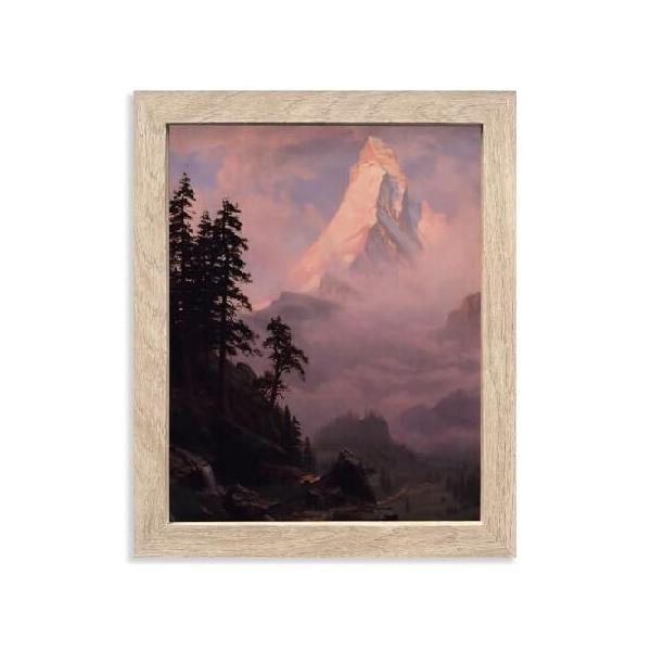 当サイトをご覧頂き誠にありがとうございます。弊社商品は全て正規店からの新品・並行輸入品です。税関手続・関税払いは全て弊社で対応の上、全国送料無料でお届けします。弊社海外倉庫より国内に発送しますので、お届けまで2-15営業日程度お時間を頂いて...