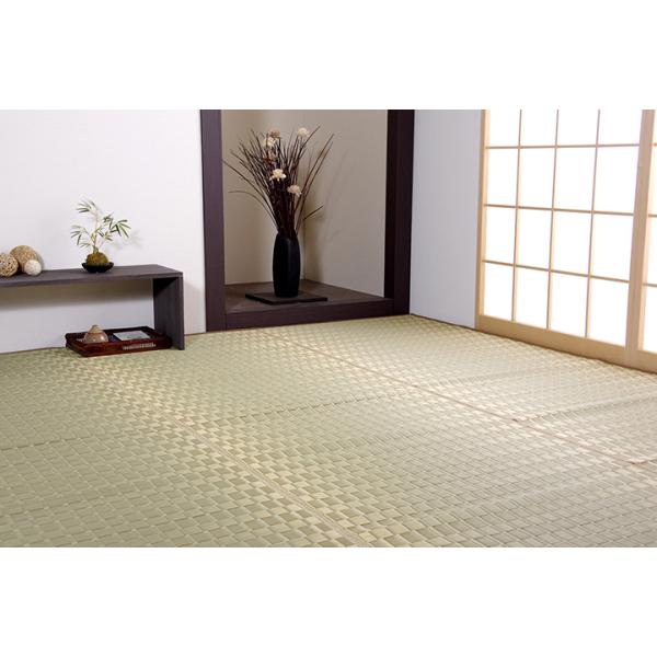 ■ナチュラルで落ち着きのある花ござです。■掛川織は九州筑後地方の伝統的な織り方です。■大きな目と小さな目に交互に織り込んだ美しく洗練されたモダンなデザインが人気です。■厳選された良質の太く長いイ草を高密度に織り込んでいますので丈夫で耐久性が...