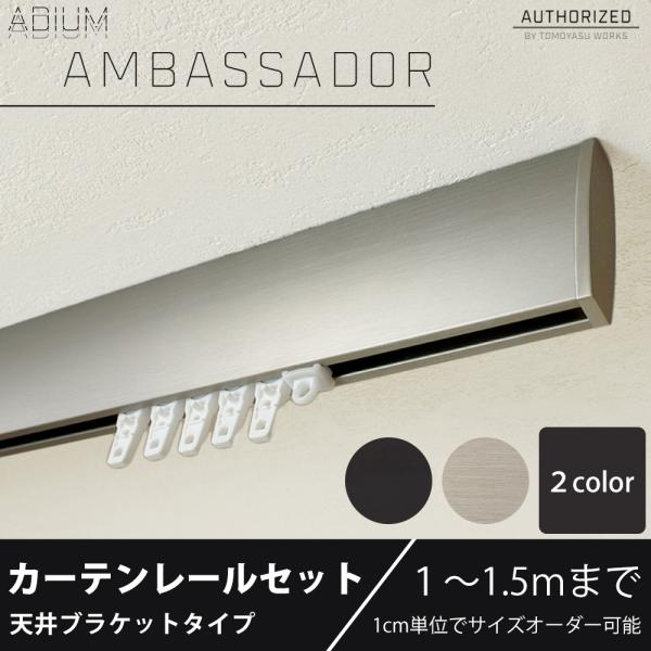 伝統的な技術と、新進気鋭なデザイナーとのコラボレーションで生まれた職人の技とこだわりが光るドイツ製カーテンレール。丸みのあるオーバル型がスタイリッシュで、7cmのレール幅が印象的な「AMBASSADOR/アンバサダー」。■商品名：ADIUM...