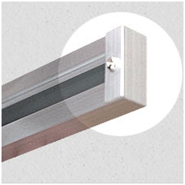 商品名:ピクチャーレール　ルーミー　エンドキャップ重量：7g厚み：2mm材質：アルミ（ビス：鉄）摘要：日本製 爆買