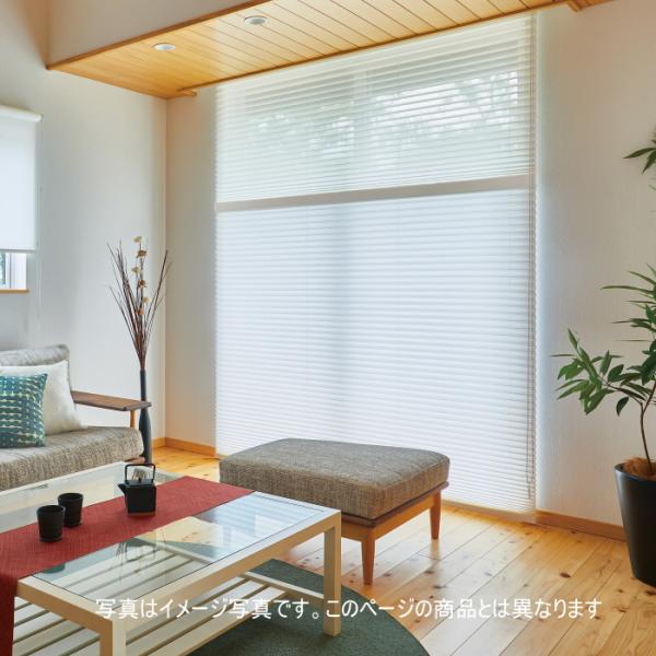 ■製品名：プリーツスクリーン もなみ■スラット巾：25mm■メーカー：ニチベイ■生地名: リーチェ遮熱■生地品番：M5103〜M5106■スタイル名：ツインスタイル■操作方法：コード式■オーダー適応サイズ：幅25〜80cm×高さ30〜60c...