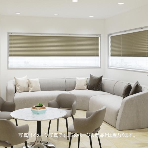 ■製品名：プリーツスクリーン もなみ■スラット巾：25mm■メーカー：ニチベイ■生地名: シスイ■生地品番：M5161〜M5163■スタイル名：ツインスタイル■操作方法：コード式■オーダー適応サイズ：幅25〜80cm×高さ101〜140cm...
