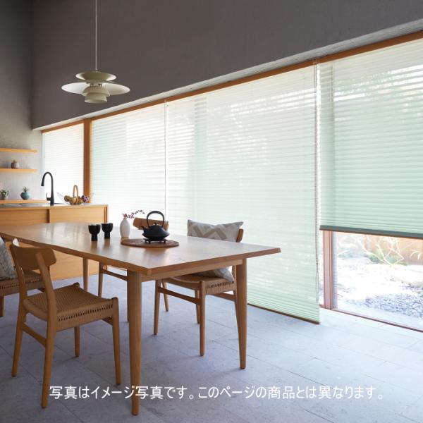 ■製品名：プリーツスクリーン もなみ■スラット巾：25mm■メーカー：ニチベイ■生地名: デリス遮熱■生地品番：M5187〜M5192■スタイル名：シングルスタイル■操作方法：コード式■オーダー適応サイズ：幅160.5〜200cm×高さ61...