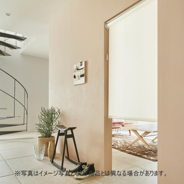 ■製品名：ロールスクリーン（ソフィ）■製作対応：オーダー■メーカー：ニチベイ■生地名：プリチェ■生地機能：防炎・抗菌・抗カビ■生地品番：N8124〜N8126■この生地は洗濯できません■透過度：ミディアム■カラー：N8124 N8125 N...