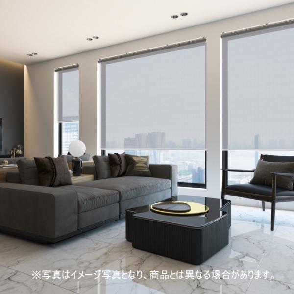 ■製品名：ロールスクリーン（ソフィ）■製作対応：オーダー■メーカー：ニチベイ■生地名：ベーネ■生地機能：防炎・制電・UVカット■生地品番：N8280〜8282■この生地は洗濯できません■透過度：シースルー■カラー：N8280 N8281 N...