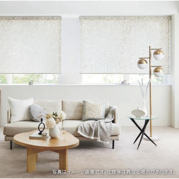 ■ロールスクリーン ロールカーテン■シリーズ名：ラルク■メーカー：立川ブラインド工業（タチカワブラインド）■日本製（3年保証）国内生産■生地性能：防炎■生地名：ビアンカ■生地品番：RS1010■シールドについて:シールドは付属しておりません...