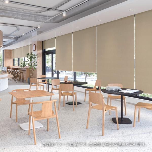 ■ロールスクリーン ロールカーテン■シリーズ名：ラルク■メーカー：立川ブラインド工業（タチカワブラインド）■日本製（3年保証）国内生産■生地性能：防炎  遮光1級■生地：シルワ遮光■生地品番：RS1483 RS1484 RS1485 RS1...
