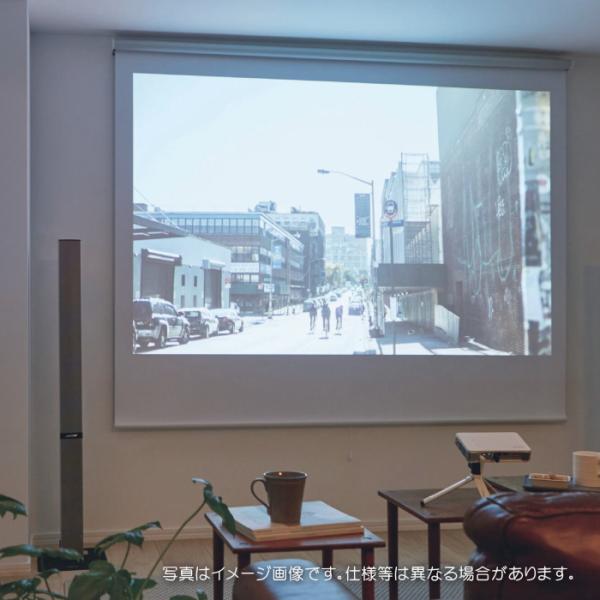 ■ロールスクリーン ロールカーテン■シリーズ名：ラルク■メーカー：立川ブラインド工業（タチカワブラインド）■日本製（3年保証）国内生産■生地性能：防炎  遮光1級 水拭き可 映写用 プロジェクタースクリーン■生地：フェア2■生地品番：RS1...