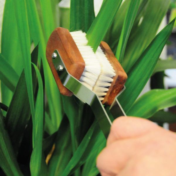 サイズ/約横15×縦35cm内容量/1個材質/山羊毛、ペアウッド、ステンレス生産国/ドイツ製●ドイツ老舗ブラシメーカー「REDECKER」のリーフブラシです。●優しく挟んでスライドするだけで、葉の両面のホコリが取れます。●お部屋に馴染んで実...