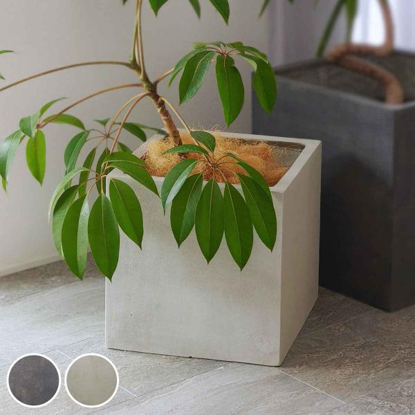 サイズ/外寸：約幅40×奥行40×高さ40cm内寸：約幅34×奥行34×高さ38cm重量/約6.8kg容量/約36L内容量/1個材質/FRP(繊維強化プラスチック)ステイン系塗装種類/グレー、ホワイト生産国/中国製組立状態/完成品●置くだけ...