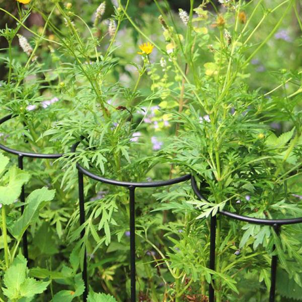 サイズ/約幅18.5×奥行10×高さ50cm重量/1本当たり：0.6kg内容量/16本セット材質/アイアン（粉体塗装）生産国/中国製組立状態/完成品●植物を支えるアイアン製サポーター 幅18.5cm 16本セットです。●植物の広がりや倒れを...