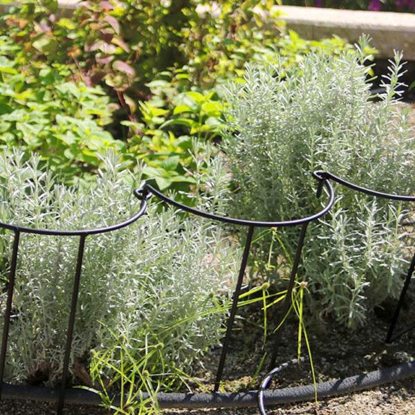 サイズ/約幅25×奥行13×高さ50cm重量/1本当たり：0.65kg内容量/8本セット材質/アイアン（粉体塗装）生産国/中国製組立状態/完成品●植物を支えるアイアン製サポーター 幅25cm 8本セットです。●植物の広がりや倒れをしっかりサ...