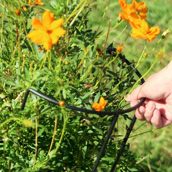 サイズ/約幅36×奥行18×高さ65cm重量/1本当たり：0.84kg内容量/8本セット材質/アイアン（粉体塗装）生産国/中国製組立状態/完成品●植物を支えるアイアン製サポーター 幅35cm 8本セットです。●植物の広がりや倒れをしっかりサ...