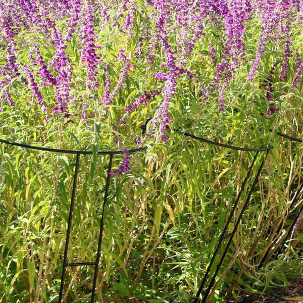 サイズ/約幅45×奥行23×高さ85cm重量/1本当たり：0.95kg内容量/16本セット材質/アイアン（粉体塗装）生産国/中国製組立状態/完成品●植物を支えるアイアン製サポーター 幅45cm 16本セットです。●植物の広がりや倒れをしっか...