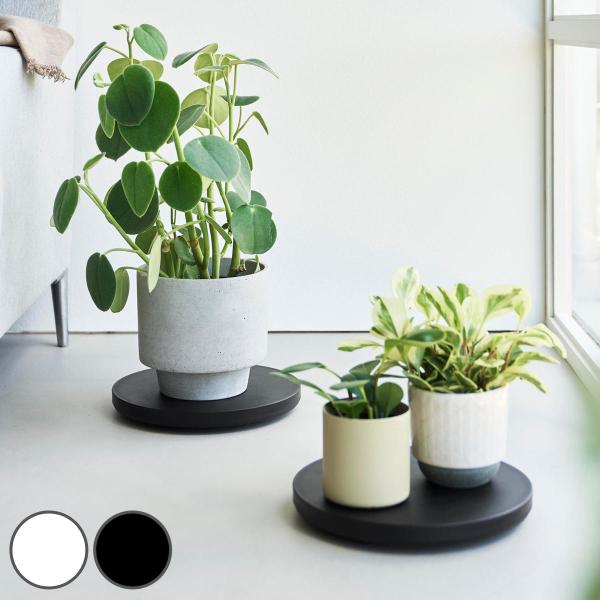 サイズ/約幅26×奥行26×高さ3.2cm重量/約250g内容量/1個材質/本体：ポリプロピレンキャスター：ナイロン種類/ホワイト、ブラック生産国/中国製耐荷重/30kg(静止荷重)●高さ3.2cmの薄型設計で、インテリアに溶け込むすっきり...