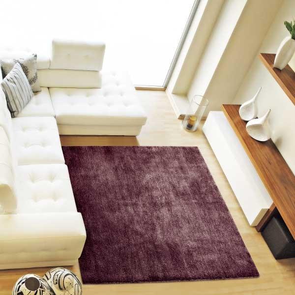 送料無料 防ダニラグ 抗菌ラグ 抗ウィルス マット カーペット 絨毯 お部屋のリビングに、子供部屋に、ご年配の方のお部屋にも安心 ラグ・カーペット・絨毯・マット送料無料 防ダニラグだから安心・快適なアスワンラグ MC-100EN(エンジ)1...