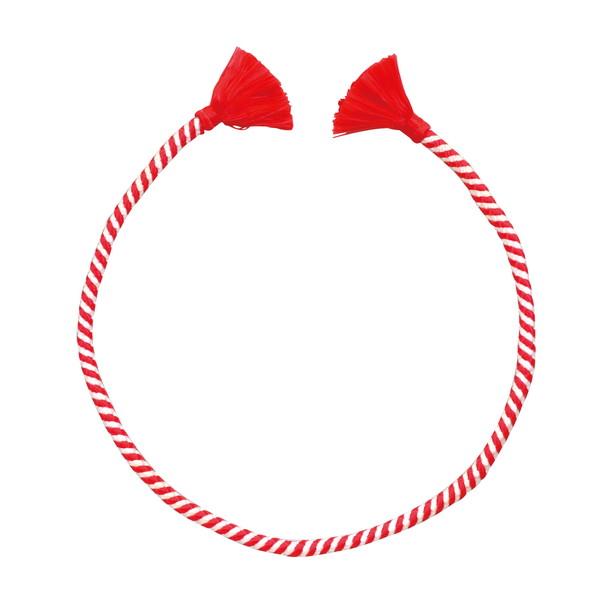 商品説明：アルミ芯入りだから、簡単にきれいに巻ける！全3色！製造国：中国商品サイズ：φ10×全長980mmセット内容：本体×1重量：56g単位：1個材質：ロープ：PP、PET 中：鉄包装形態：袋入包装サイズ：100×260mm