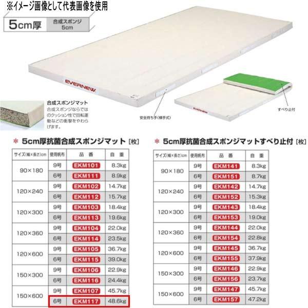 EVERNEW（エバニュー） 5cm厚 抗菌合成 スポンジマット EKM117 幅150