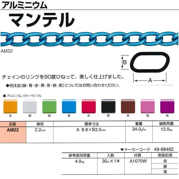 ●軽量性と鮮やかなカラーの美しさが特長のチェイン。装飾や手芸などの用途に適しています。●チェインのリンクを９０度ひねって、美しく仕上げました。線径：2.2mm重量：34.0g／m破断荷重：13.0kg参考使用荷重：4.0kg入数：30m×1...