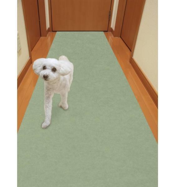 特長　ペットの足腰の負担を軽減材質　表面：ポリエステル100％　裏面：アクリル樹脂（カテキン入）
