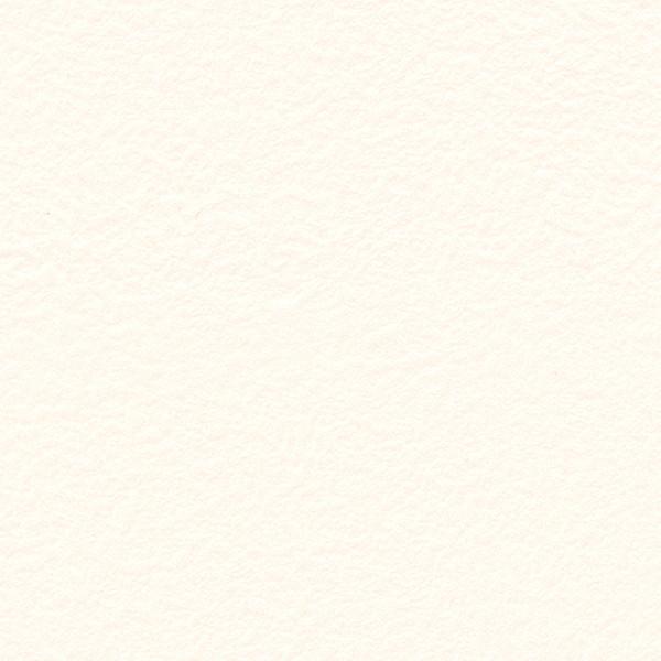 マットな質感ときめ細かい肌触りにこだわった壁紙。美しく絶妙なニュアンスカラーが、生活をやさしく彩ります。機能:日本工業規格JIS適合品です。壁紙工業会により制定された、自主安全規格の基準をクリアしている商品です。建築基準法に基づく、ホルムア...