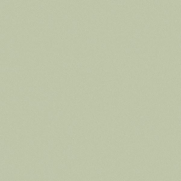 マットな質感ときめ細かい肌触りにこだわった壁紙。美しく絶妙なニュアンスカラーが、生活をやさしく彩ります。機能:日本工業規格JIS適合品です。壁紙工業会により制定された、自主安全規格の基準をクリアしている商品です。建築基準法に基づく、ホルムア...