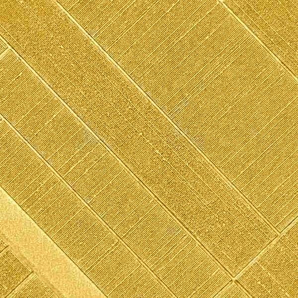 見る角度によって柄が浮かびあがる、シックな重厚感・高級感のあるデザインです。機能:建築基準法に基づく、ホルムアルデヒドの発散を抑えた商品です。規格:最長:92 cm ×50 m乱リピート備考:エンボスリピート防火種別:2-3リピート:タテ5...