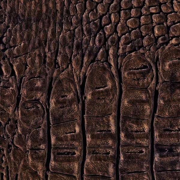 本物のレザーのような質感のエンボスにパールのプリントを施したクロコ柄の商品。機能:塩素系薬剤のメンテナンスに強い商品です。組成:表皮 PVC・PU／裏地 不織布リピート:タテ21.5cm ヨコ26.5cm有効巾132.5 cm × 20 m乱