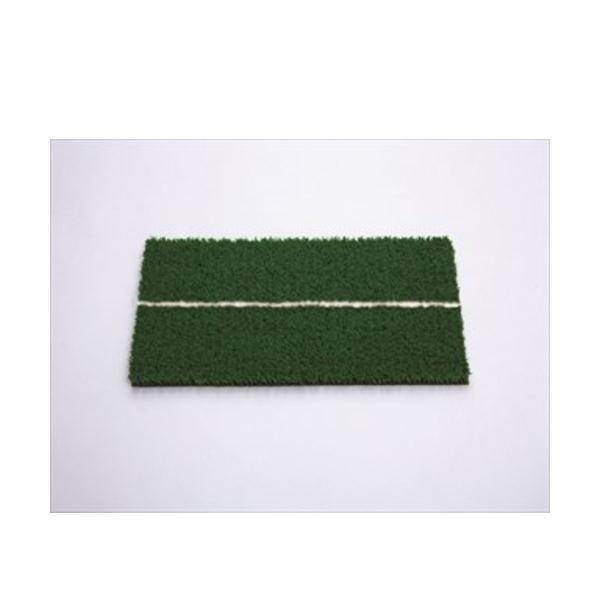 ターゲットバードゴルフ　羽根付きの専用ボールをクラブで打ち、何回でホールの中に入れることができるかを競うゴルフゲームです。　地形によって起伏のあるコースやバンカー、障害物のあるコースを設定することができます。商品サイズ：20×40cm、芝長...