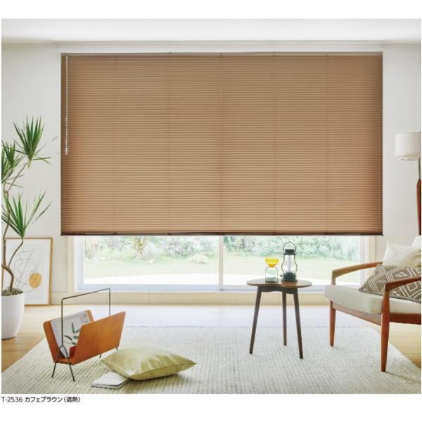 昇降コード穴は製品の両端にある２か所だけなので、光漏れも少なく！ベーシックな、スライド幅25mmのシルキーシェイディRDS。下記ありましたら備考欄に記載ください。●ワンポール操作の場合は、製品取付高さを10mm単位でご指定ください。●カーテ...