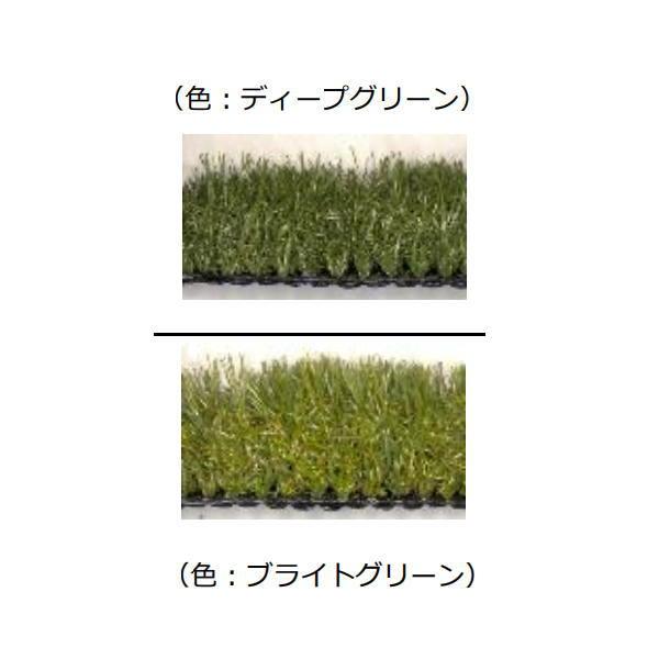 ソフトで高い立毛性を実現したリアル人工芝4色使いのパイルで天然芝の風合いを再現表層主素材：直毛糸、ナイロン／捲縮糸　ナイロン標準パイル長：30mm防炎試験認定番号E2180277制電性
