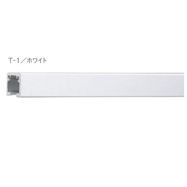 許容荷重30kgのディスプレイ専用レールです。スペースの美観に調和するシンプルなデザインと2色のカラーバリエーション。絵画やパネルのディスプレイなど、商業スペースでのご使用をお勧めします。既存の壁面や天井面に取付けるタイプです。【素材】アル...