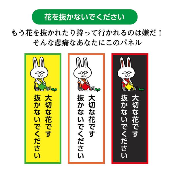 【pn-0569 パネル W100×H300mm】イラスト-大切な花です 抜かないでください（ウサギ）お花泥棒さんに困っている方にオススメ「大事に育てているので本当にやめてほしい」という気持ちを代弁し、強調デザインで作成しました。※デザイン...
