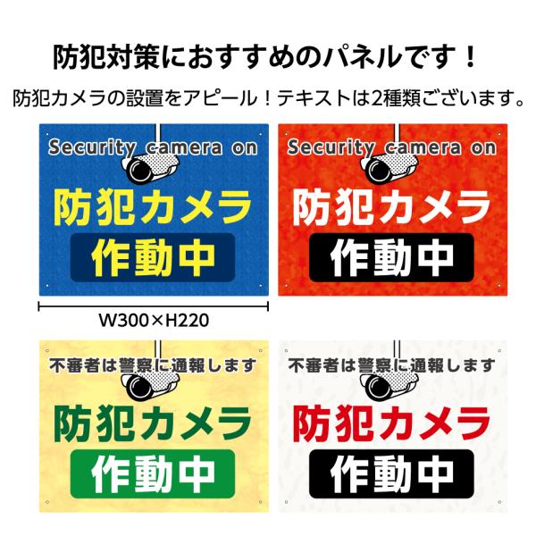 【pn-0606 パネル W300×220mm】 ピクト（カメラ）-防犯カメラ作動中/（背景模様入り）A4サイズ程度のパネルです。パネル上部の文字は1.「不審者は警察に通報します」2.「Security camera on」からお選びくださ...