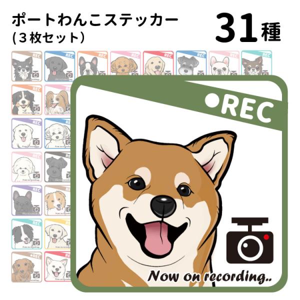 ステッカー 犬 車 注意 グッズ ドラレコ ドライブレコーダー シール 柴犬 フレンチブルドッグ フレブル ゴールデンレトリバー